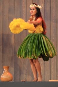 Hawaiian Punch Costume | Costumes Hub
