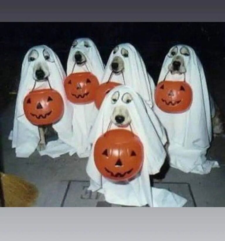 Charlie Brown Ghost Costume | Costumes-Hub