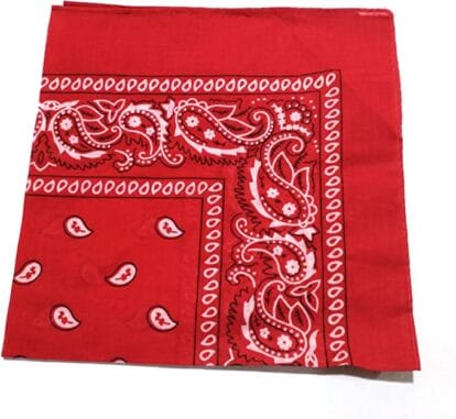 Cheech And Chong Costume